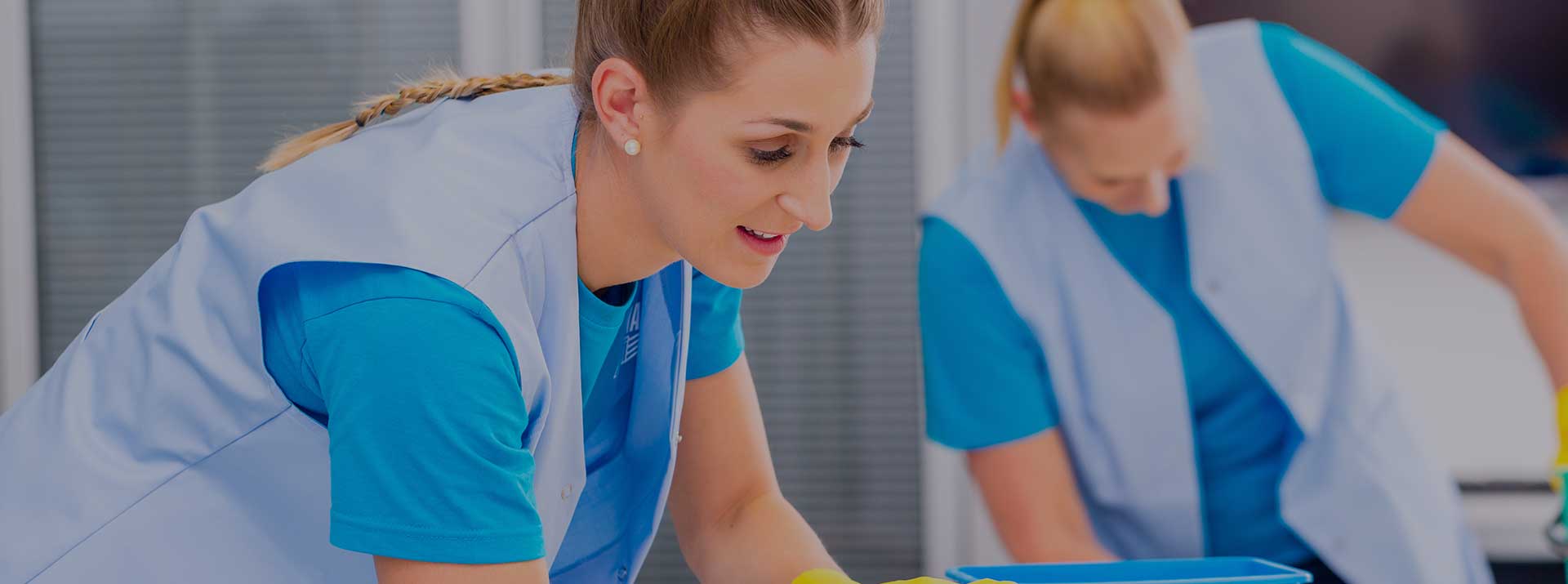 Alba Cleaning Services – Alba Cleaning Services